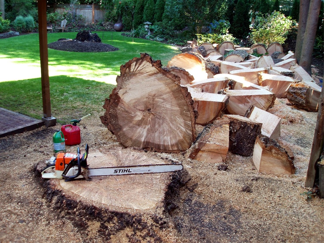 Tree Services - Emerald Tree Service Seattle