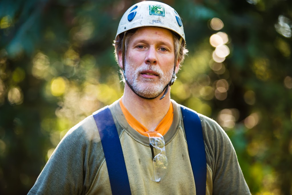Contact Emerald Tree Service Seattle